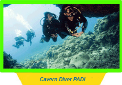 PADI Diver Propulsion Vehicle – Underwater Academy – Scuola di attività ...