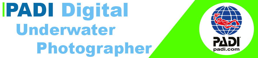 PADI Digital Underwater Photographer – Underwater Academy – Scuola di ...