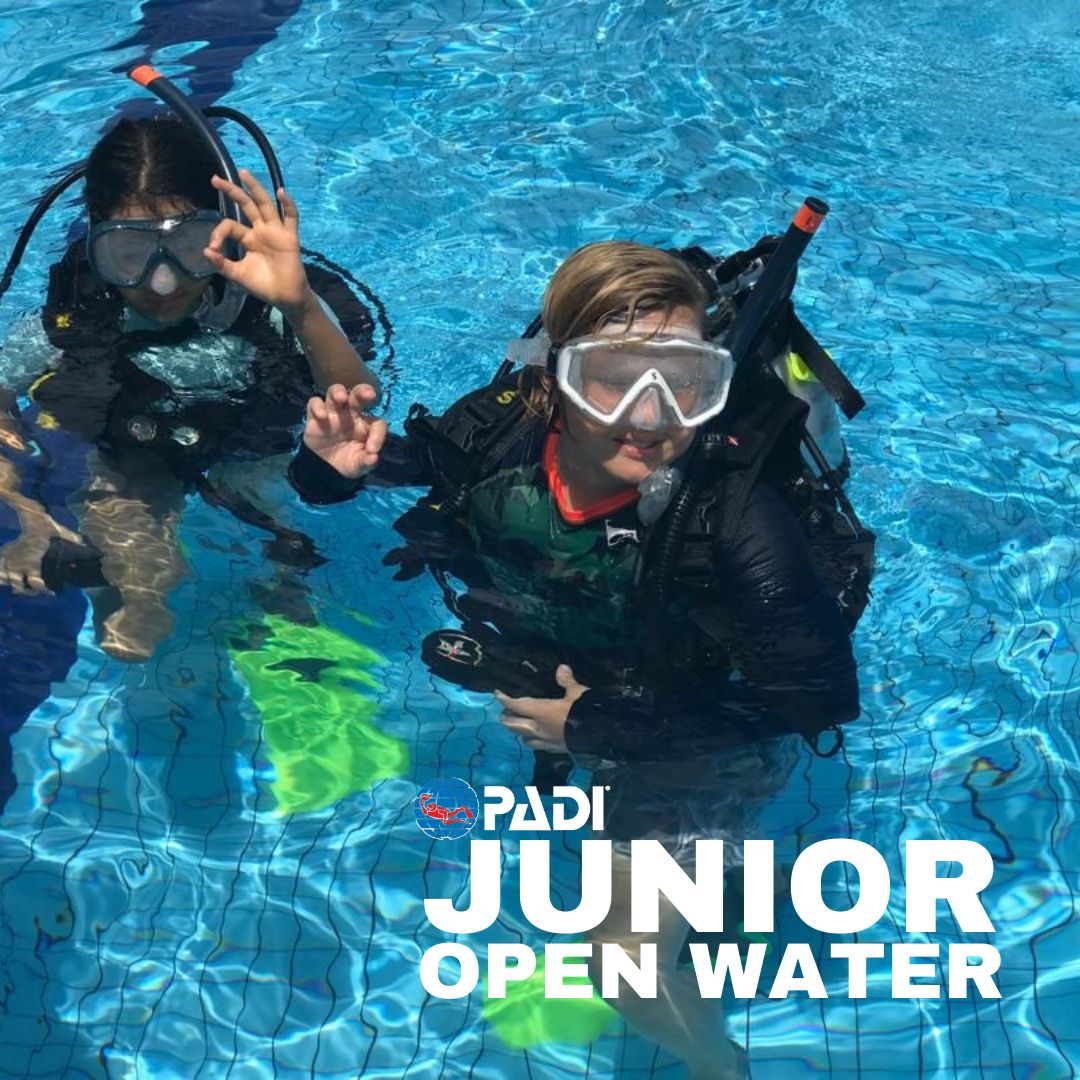 PADI Open Water Diver Junior – Underwater Academy – School of Marine ...
