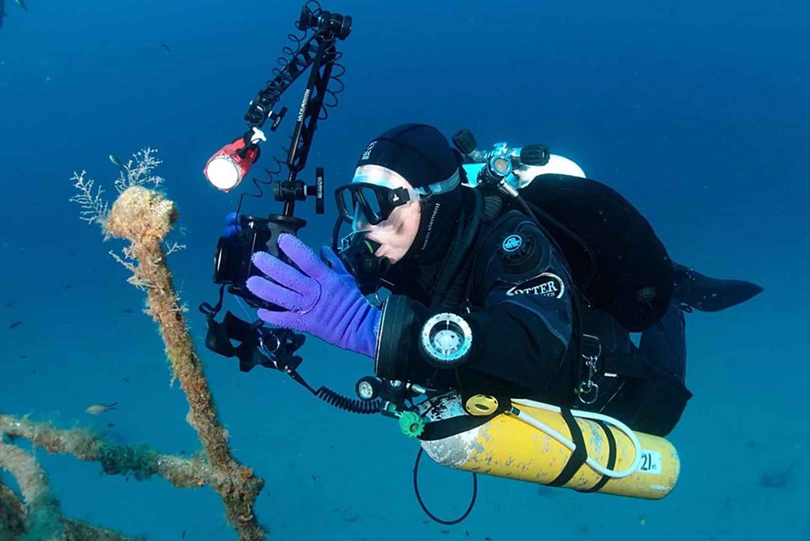 PADI Digital Underwater Photographer – Underwater Academy – School of ...