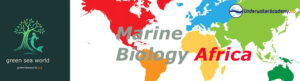 Marine Biology – Africa – Underwater Academy – Scuola di attività marinare