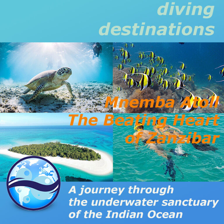 Mnemba Atoll – The Beating Heart of Zanzibar – Underwater Academy ...